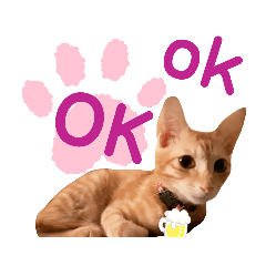 Winnie Kao_20190909013122 – LINE stickers | LINE STORE