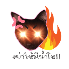 Family Chai – LINE stickers | LINE STORE