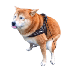 OHHH Tudou – LINE stickers | LINE STORE