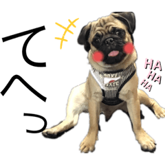 Maco mama_20190918172545 - Stiker LINE | LINE STORE