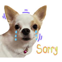 aomsin_20190921234106 – LINE stickers | LINE STORE