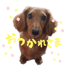 michu_20190921230410 - Stiker LINE | LINE STORE