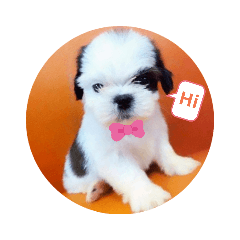 lovely & cutie dog - Stiker LINE | LINE STORE