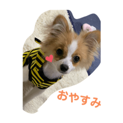 chi N_20191004213725 – LINE stickers | LINE STORE