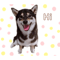 Bubi_20191006235733 – LINE stickers | LINE STORE