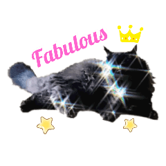 Raven the fat cat – สติกเกอร์ LINE | LINE STORE