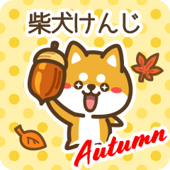 Shiba Kenji in Autumn – LINE stickers | LINE STORE