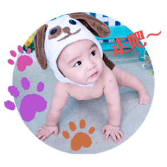 Huang hu - Stiker LINE | LINE STORE