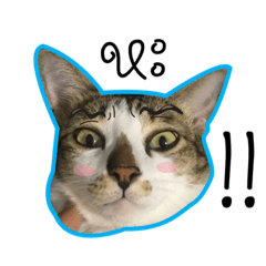 Oohhhh – LINE stickers | LINE STORE