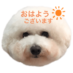 acky_20191015215742 – LINE stickers | LINE STORE