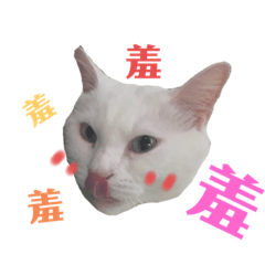 Mr.Lo - Stiker LINE | LINE STORE