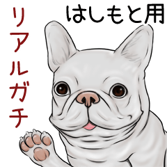 Hashimoto Real Gachi Pug & Bulldog – LINE stickers | LINE STORE