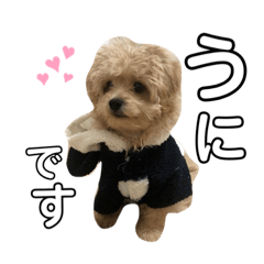 miyu_20191017124302 - Stiker LINE | LINE STORE