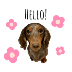 Sato_20191020005613 – LINE stickers | LINE STORE