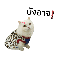 Marisa_20191025090256 – LINE stickers | LINE STORE