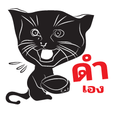 THAI BLACK CAT – LINE stickers | LINE STORE