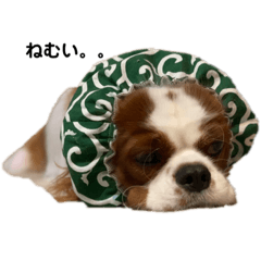 Malakou_2019 – สติกเกอร์ LINE | LINE STORE