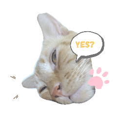 The Bored Cat Goro – Stickers LINE | LINE STORE