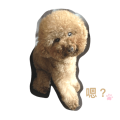 useful stickers^_^ – LINE貼圖 | LINE STORE