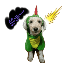 nobuke_20191101165147 - Stiker LINE | LINE STORE