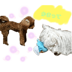 nobuke_20191102160659 – สติกเกอร์ LINE | LINE STORE