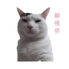 blablabla__ - Stiker LINE | LINE STORE