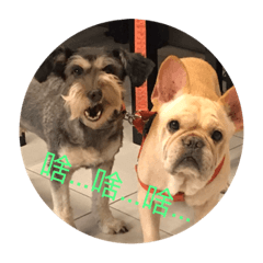 Ariel_20191110013421 – LINE stickers | LINE STORE