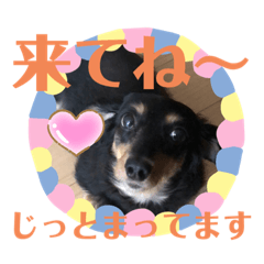 KAYO_20191105181554 - Stiker LINE | LINE STORE