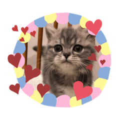 PMC_20191112142639 – LINE 스티커 | LINE STORE