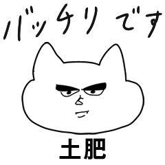 自由すぎる【土肥】（友達ねこ敬語） - LINE スタンプ | LINE STORE