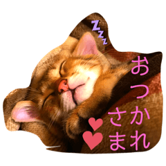 Miyu_20191112233620 – LINE stickers | LINE STORE