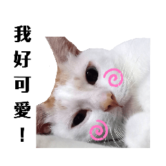 KT Meng - Stiker LINE | LINE STORE