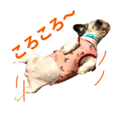 wanco_20191113205051 – LINE stickers | LINE STORE