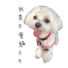 Princess Didi - Stiker LINE | LINE STORE