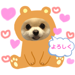 Pomeranian.REO – LINE stickers | LINE STORE
