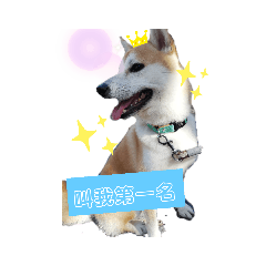 Min_20191116000211 - Stiker LINE | LINE STORE