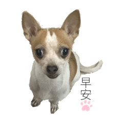 Ivan_20191119231400 - LINE スタンプ | LINE STORE