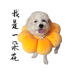 Lovely Princess Daisy Dog – LINE stickers | LINE STORE