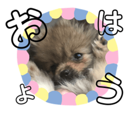 tamumu_vol.2 | Yabe-LINE貼圖代購 | 台灣No.1，最便宜高效率的代購網