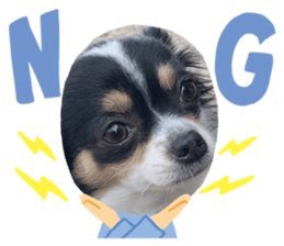 mikasyn.s_20200108074048 | Yabe-LINE貼圖代購 | 台灣No.1，最便宜高效率的代購網