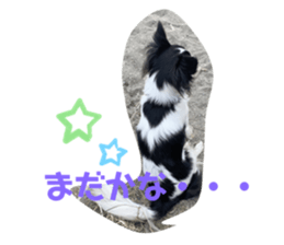 mikasyn.s_20200108074048 | Yabe-LINE貼圖代購 | 台灣No.1，最便宜高效率的代購網