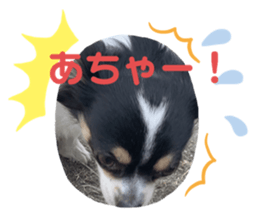 mikasyn.s_20200108074048 | Yabe-LINE貼圖代購 | 台灣No.1，最便宜高效率的代購網