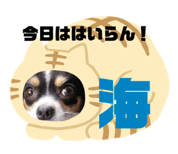 mikasyn.s_20200108074048 | Yabe-LINE貼圖代購 | 台灣No.1，最便宜高效率的代購網