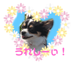 mikasyn.s_20200108074048 | Yabe-LINE貼圖代購 | 台灣No.1，最便宜高效率的代購網