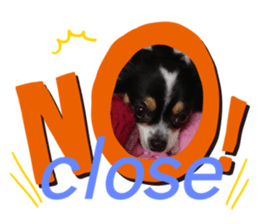 mikasyn.s_20200108074048 | Yabe-LINE貼圖代購 | 台灣No.1，最便宜高效率的代購網