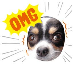 mikasyn.s_20200108074048 | Yabe-LINE貼圖代購 | 台灣No.1，最便宜高效率的代購網