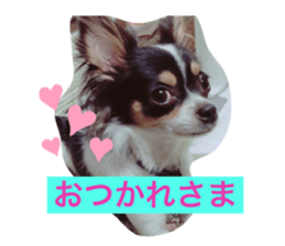 mikasyn.s_20200108074048 | Yabe-LINE貼圖代購 | 台灣No.1，最便宜高效率的代購網