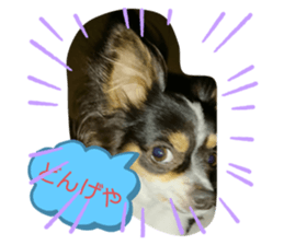 mikasyn.s_20200108074048 | Yabe-LINE貼圖代購 | 台灣No.1，最便宜高效率的代購網