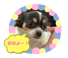 mikasyn.s_20200108074048 | Yabe-LINE貼圖代購 | 台灣No.1，最便宜高效率的代購網