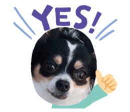 mikasyn.s_20200108074048 | Yabe-LINE貼圖代購 | 台灣No.1，最便宜高效率的代購網